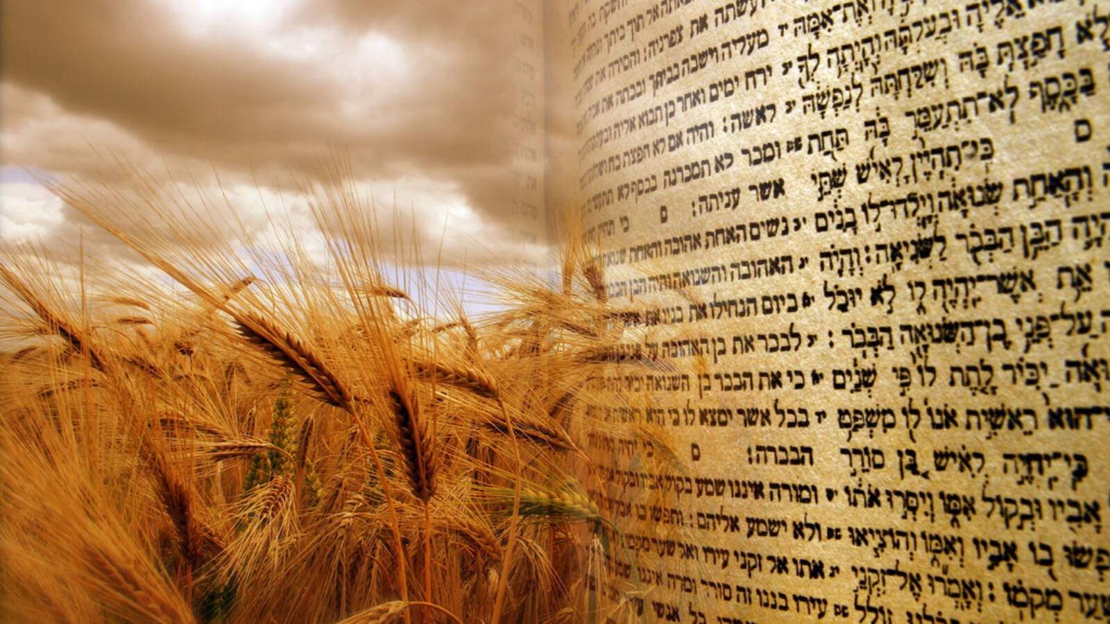 Shavuot 2026 The Rabbi Sacks Legacy