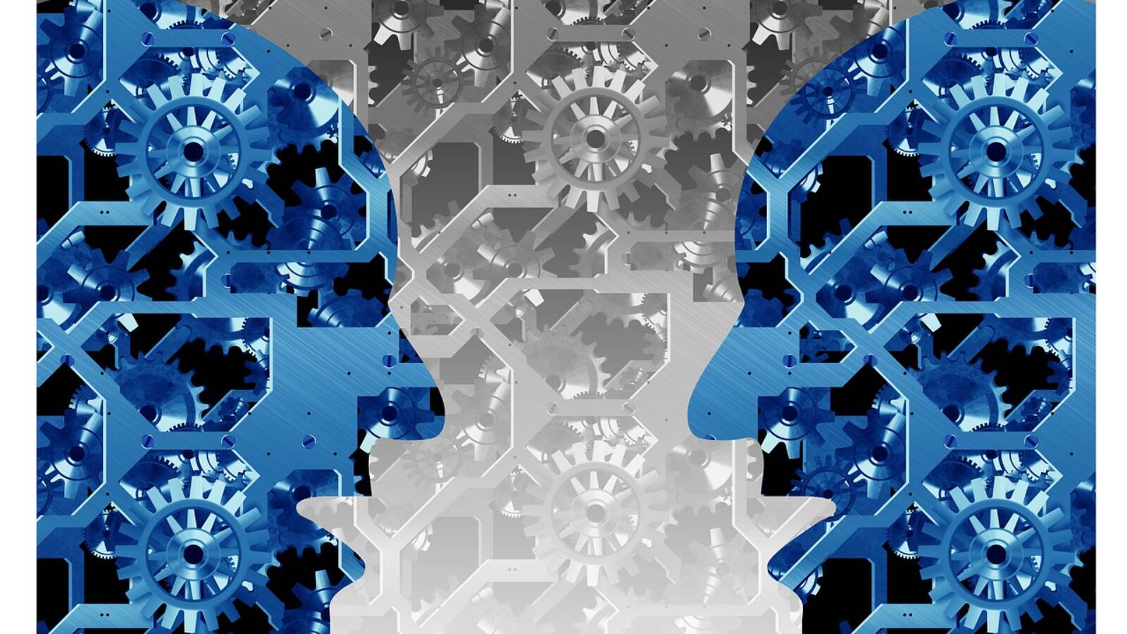 The Power of Gratitude | Eikev | Covenant & Conversation | The Rabbi ...