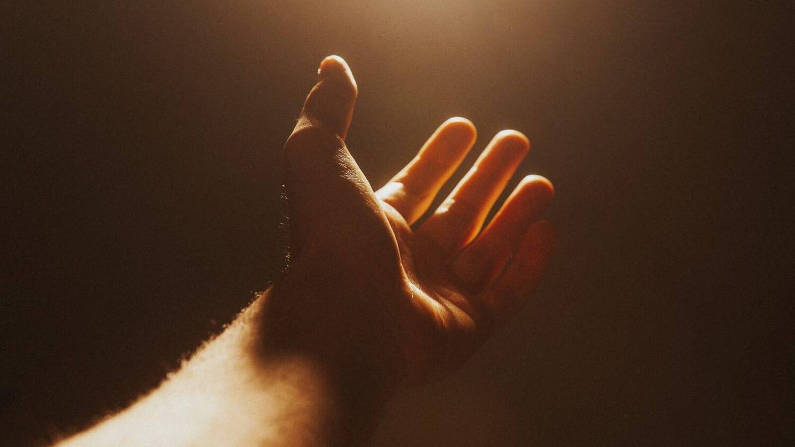 What Do We Receive When We Give? | Terumah | Covenant & Conversation ...