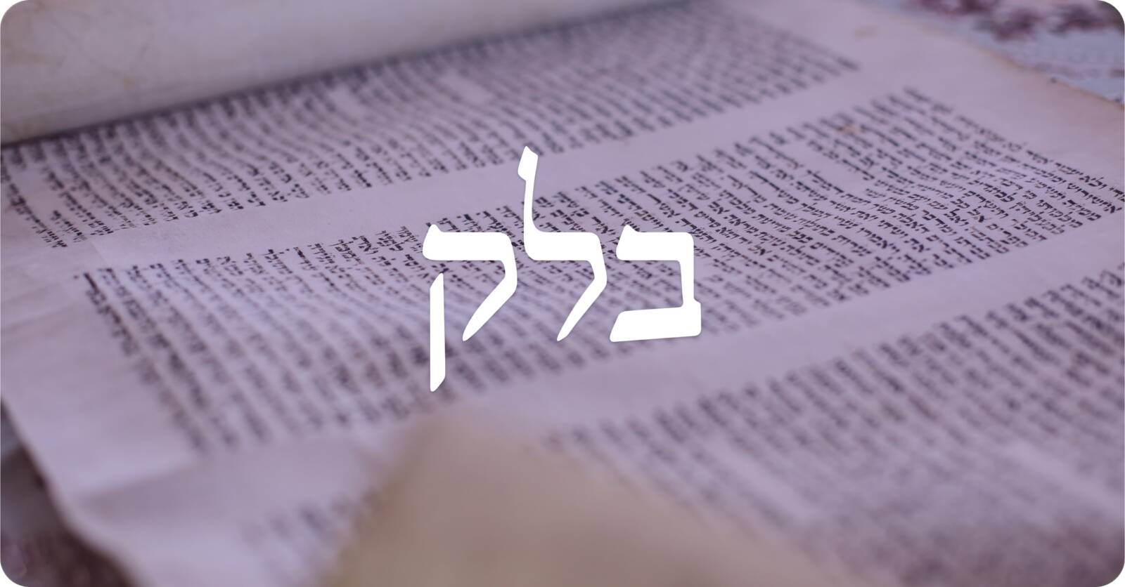 Parshat Balak | Covenant & Conversation | The Rabbi Sacks Legacy