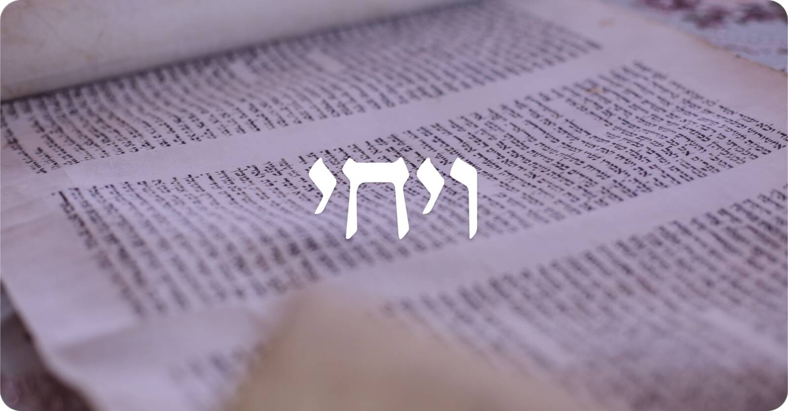 Vayechi | The Rabbi Sacks Legacy