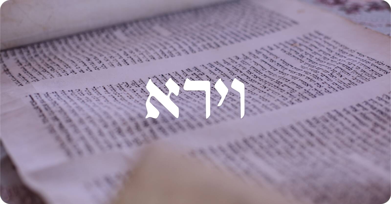 Parshat Vayera | Covenant & Conversation | The Rabbi Sacks Legacy