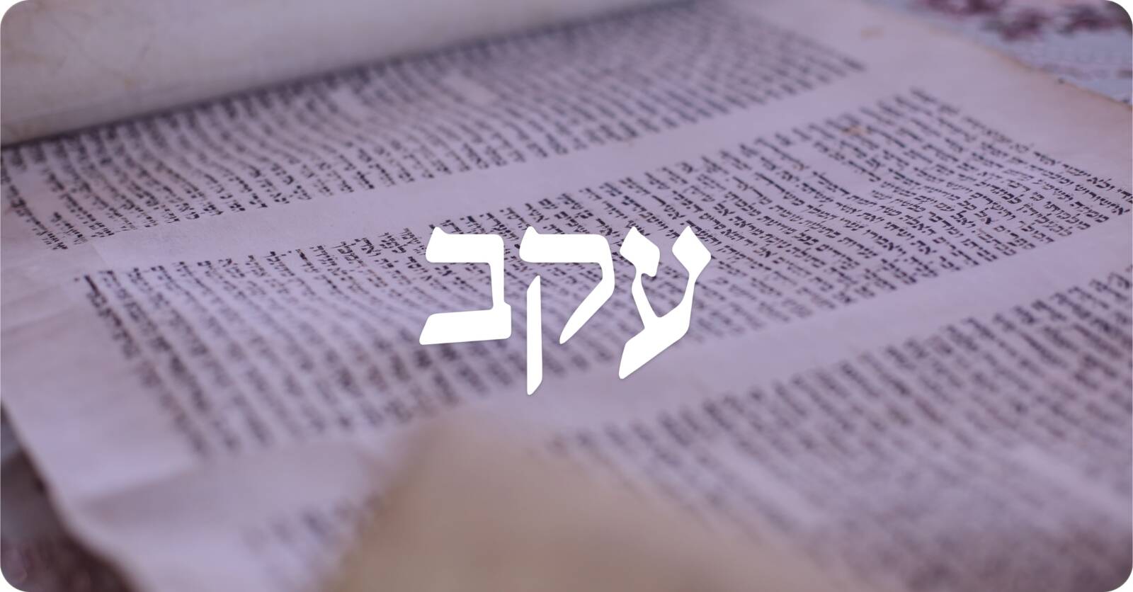 Parshat Eikev | Covenant & Conversation | The Rabbi Sacks Legacy
