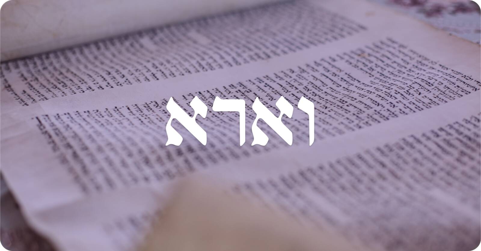 Parshat Vaera | Covenant & Conversation | The Rabbi Sacks Legacy