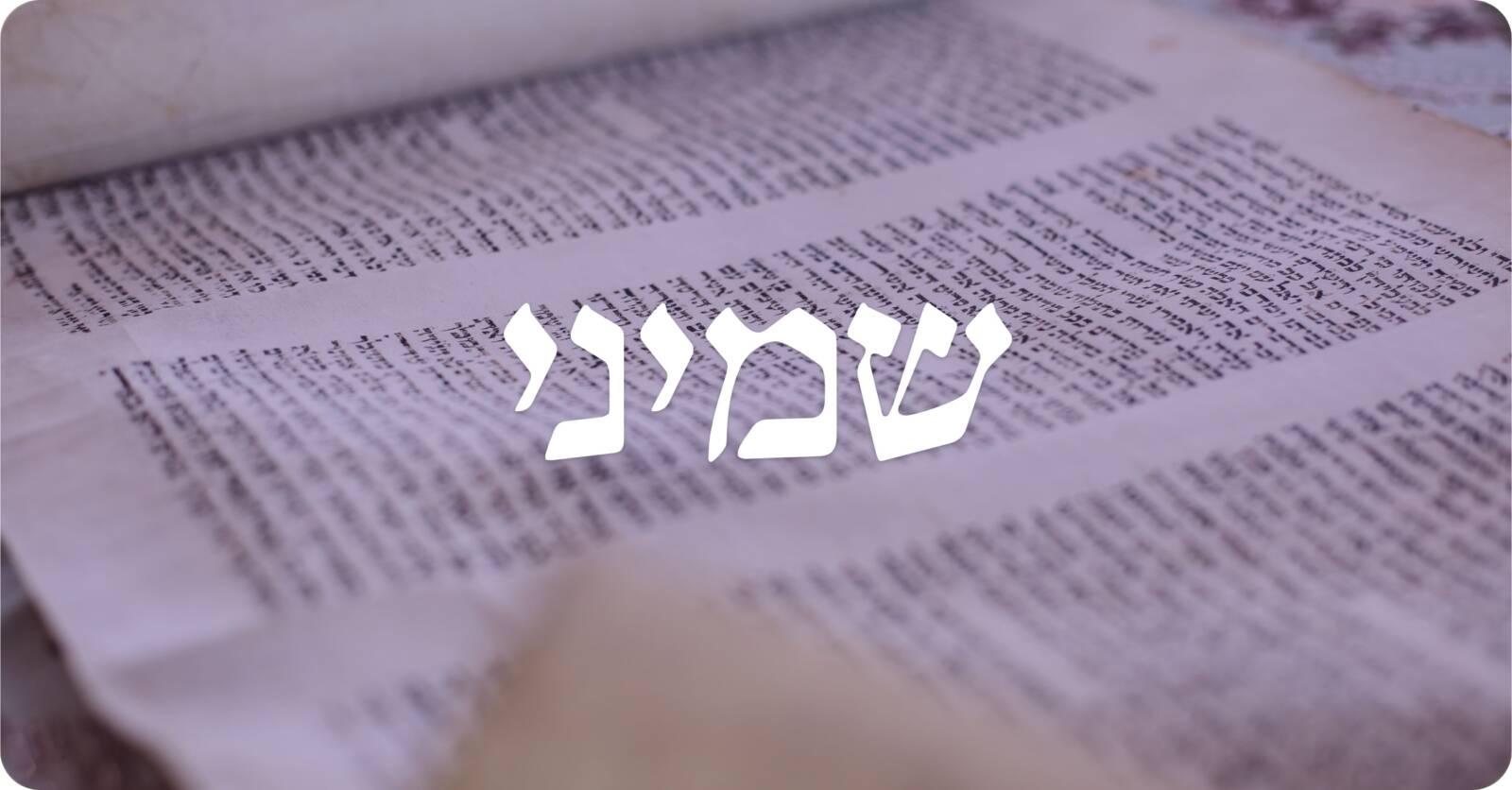 Parshat Shemini | Covenant & Conversation | The Rabbi Sacks Legacy