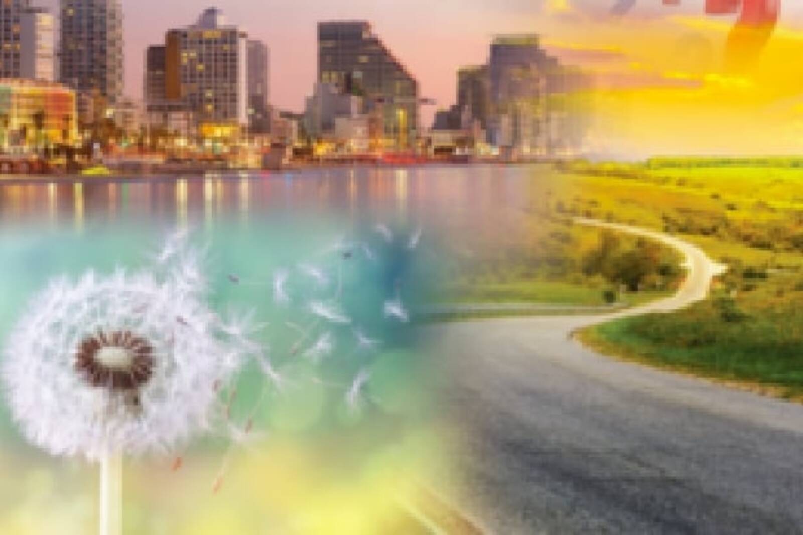 Curriculum Resources | Ten Paths to God | Rabbi Sacks