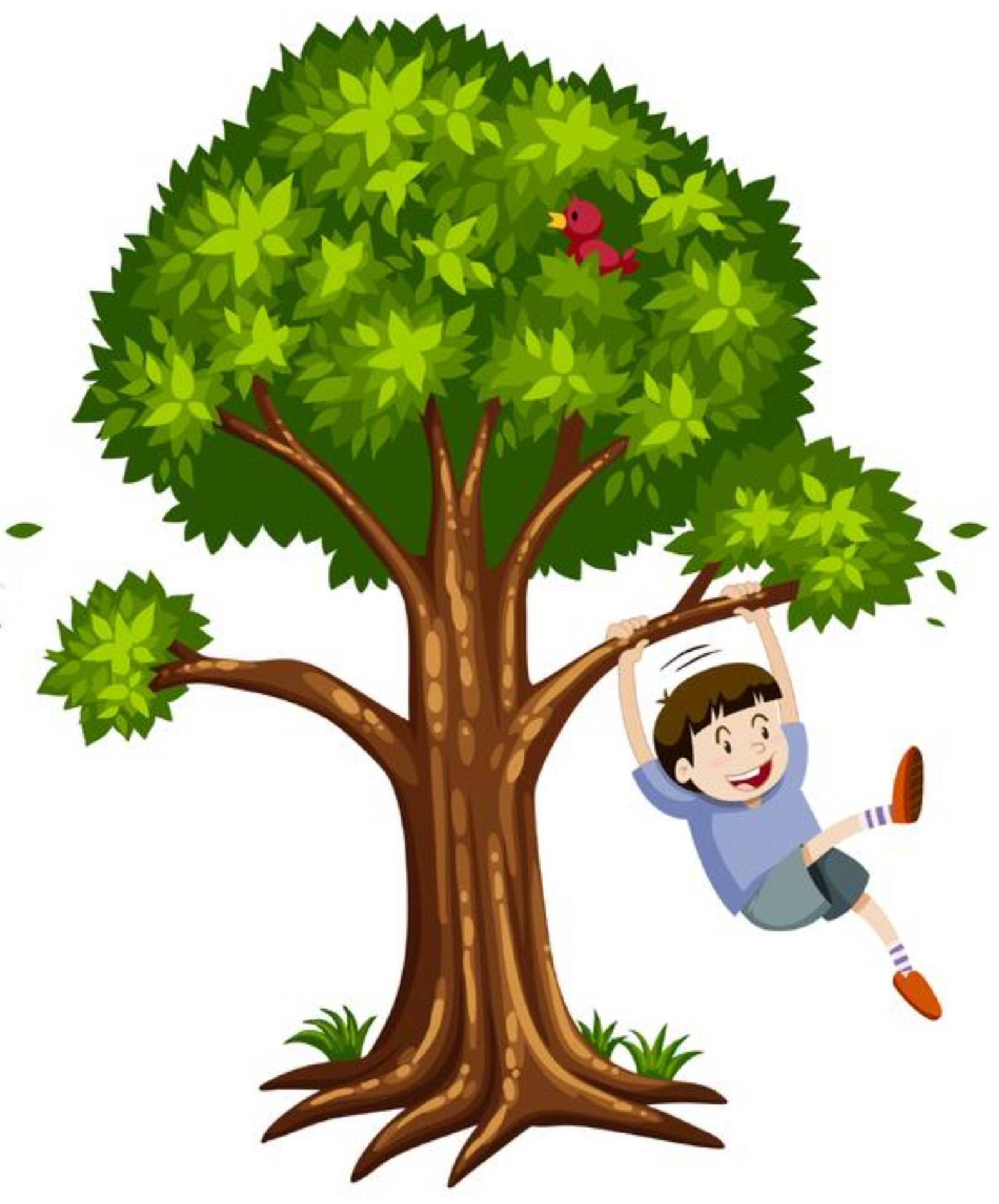 Tu BiShvat | Ceremony & Celebration Family Edition | The Rabbi Sacks Legacy