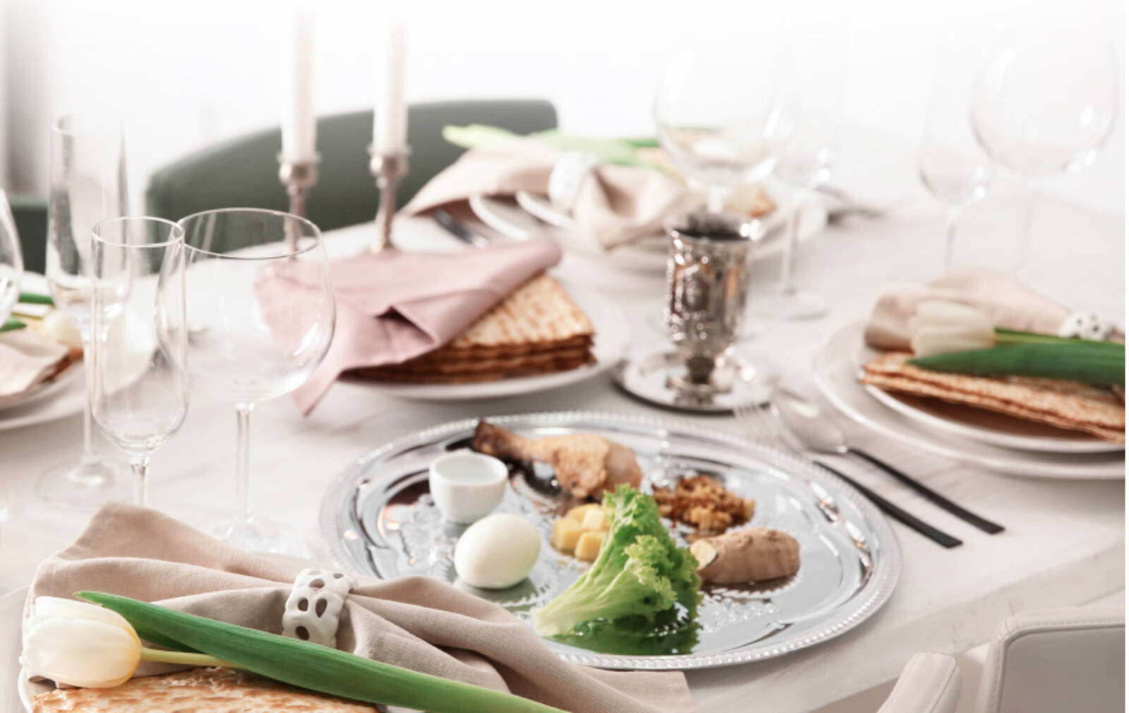 Pesach | Ceremony & Celebration Family Edition | The Rabbi Sacks Legacy