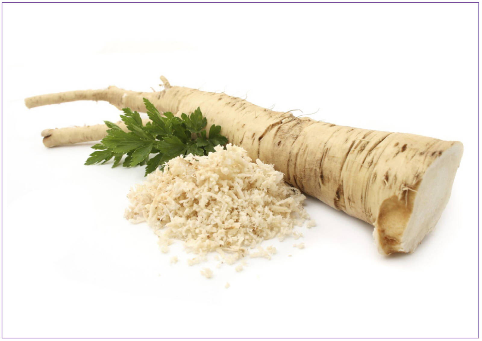 Pesach, Matzah, Maror | Ceremony & Celebration Family Edition | The ...