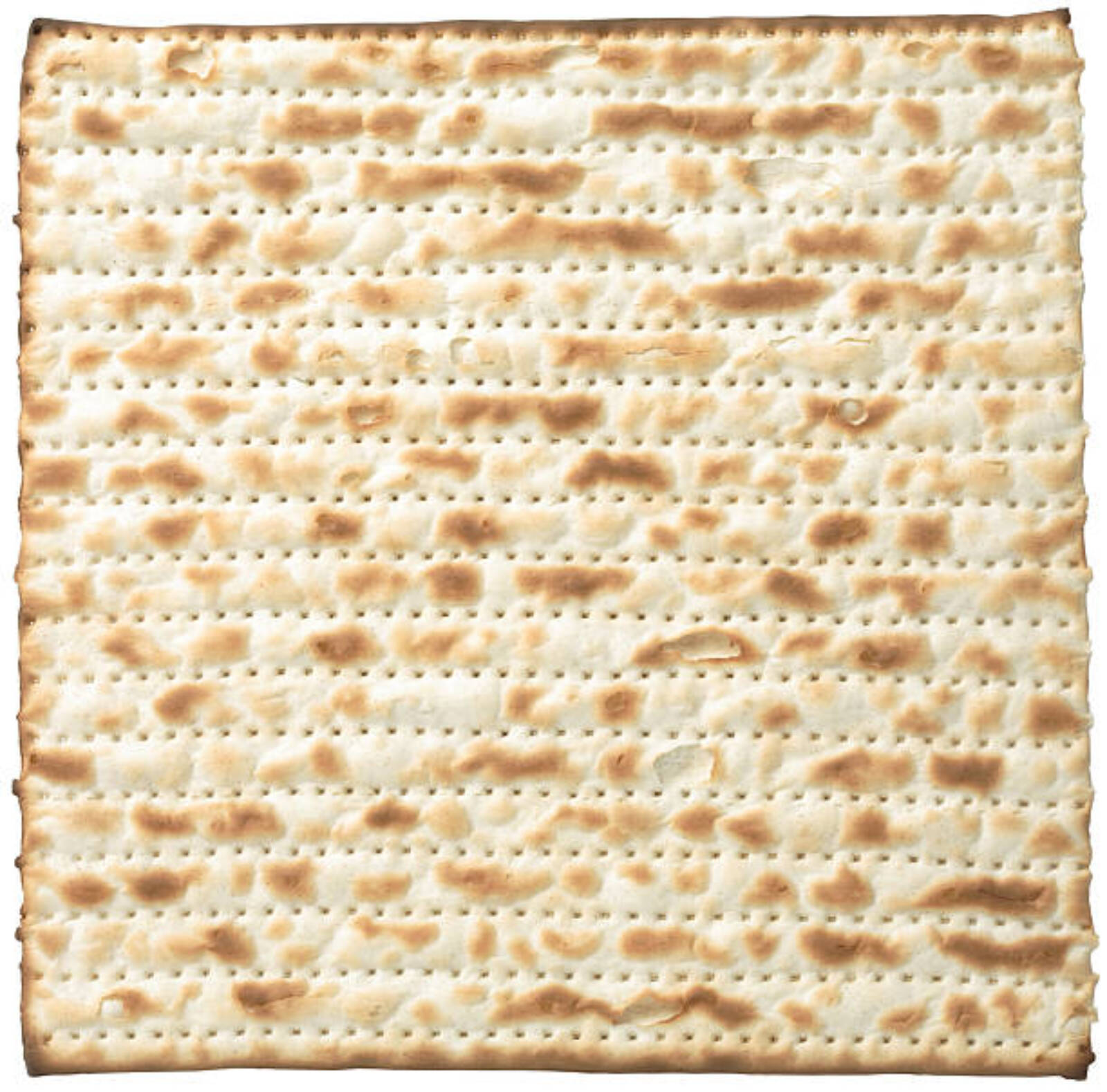 Pesach, Matzah, Maror | Ceremony & Celebration Family Edition | The ...