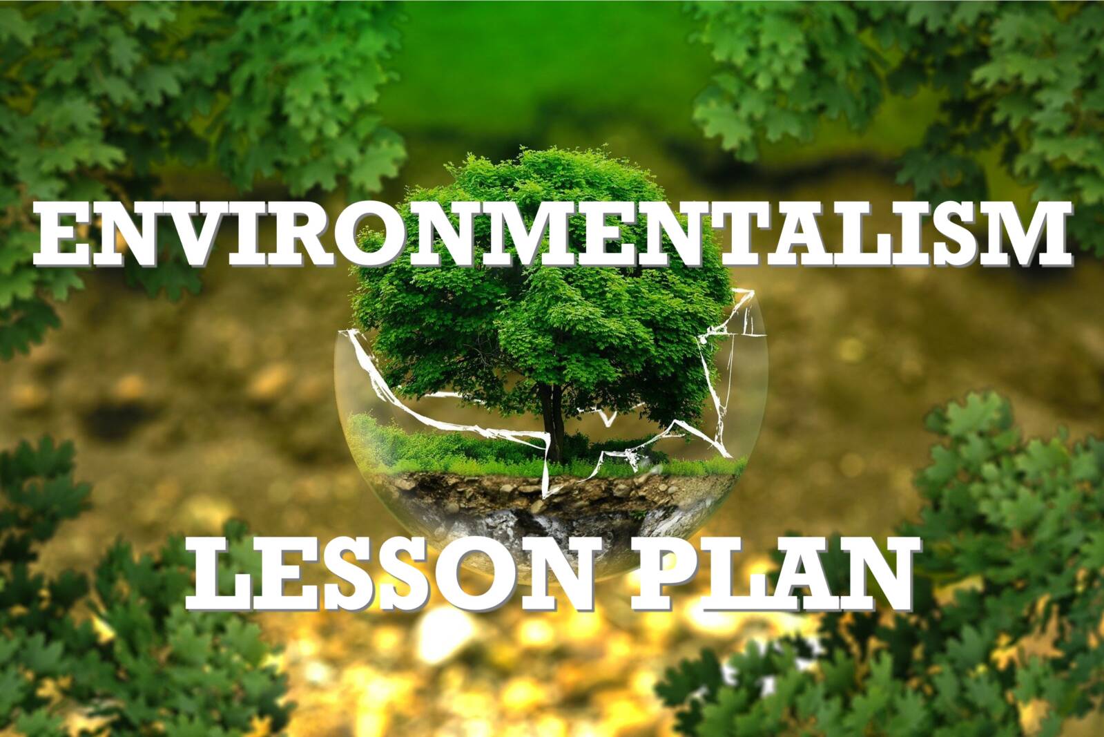 Teaching Resources | Environmentalism | The Rabbi Sacks Legacy