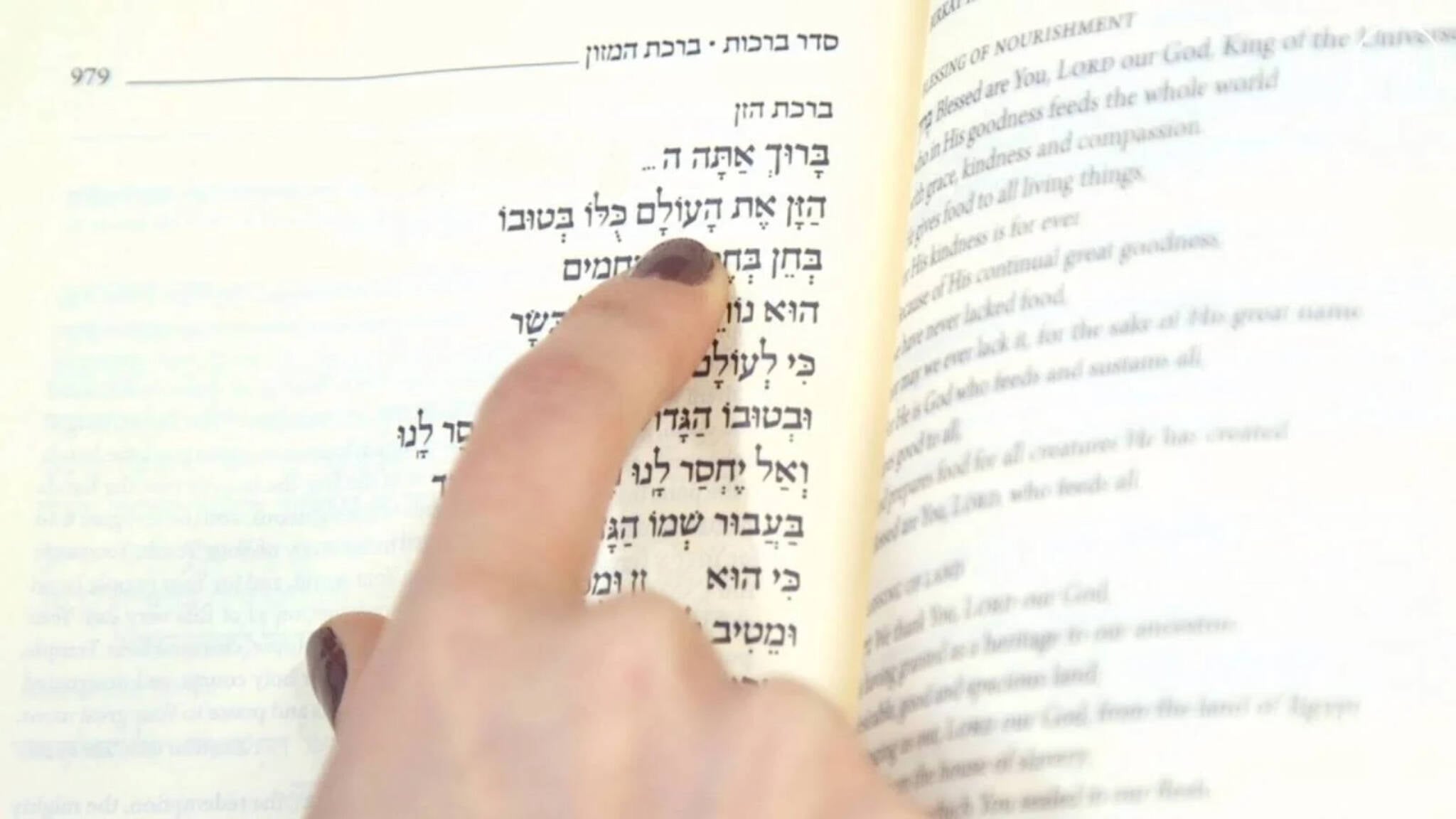 The Power of Gratitude | Eikev | Covenant & Conversation | The Rabbi ...