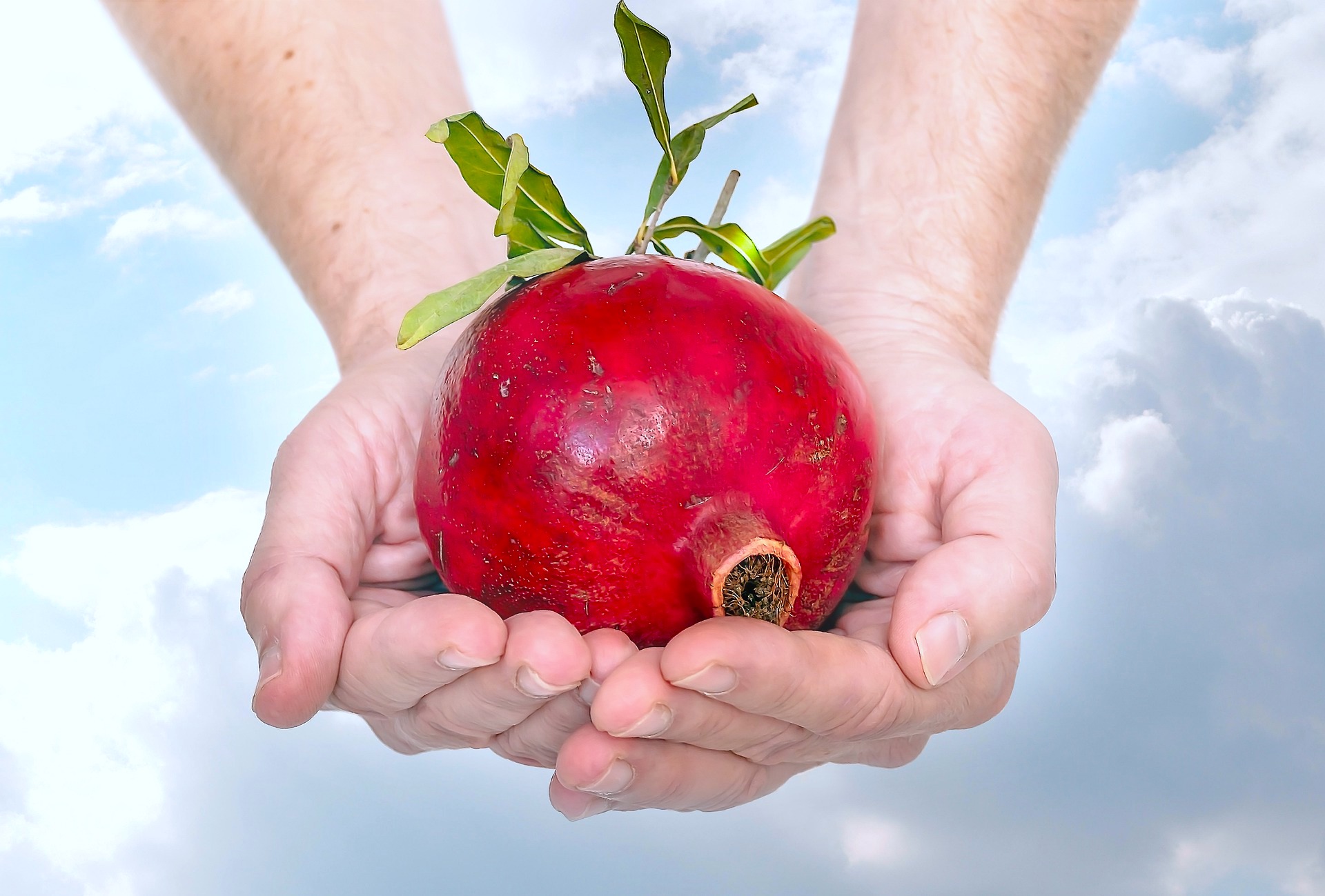 A Collection of Messages for Rosh Hashanah | The Rabbi Sacks Legacy