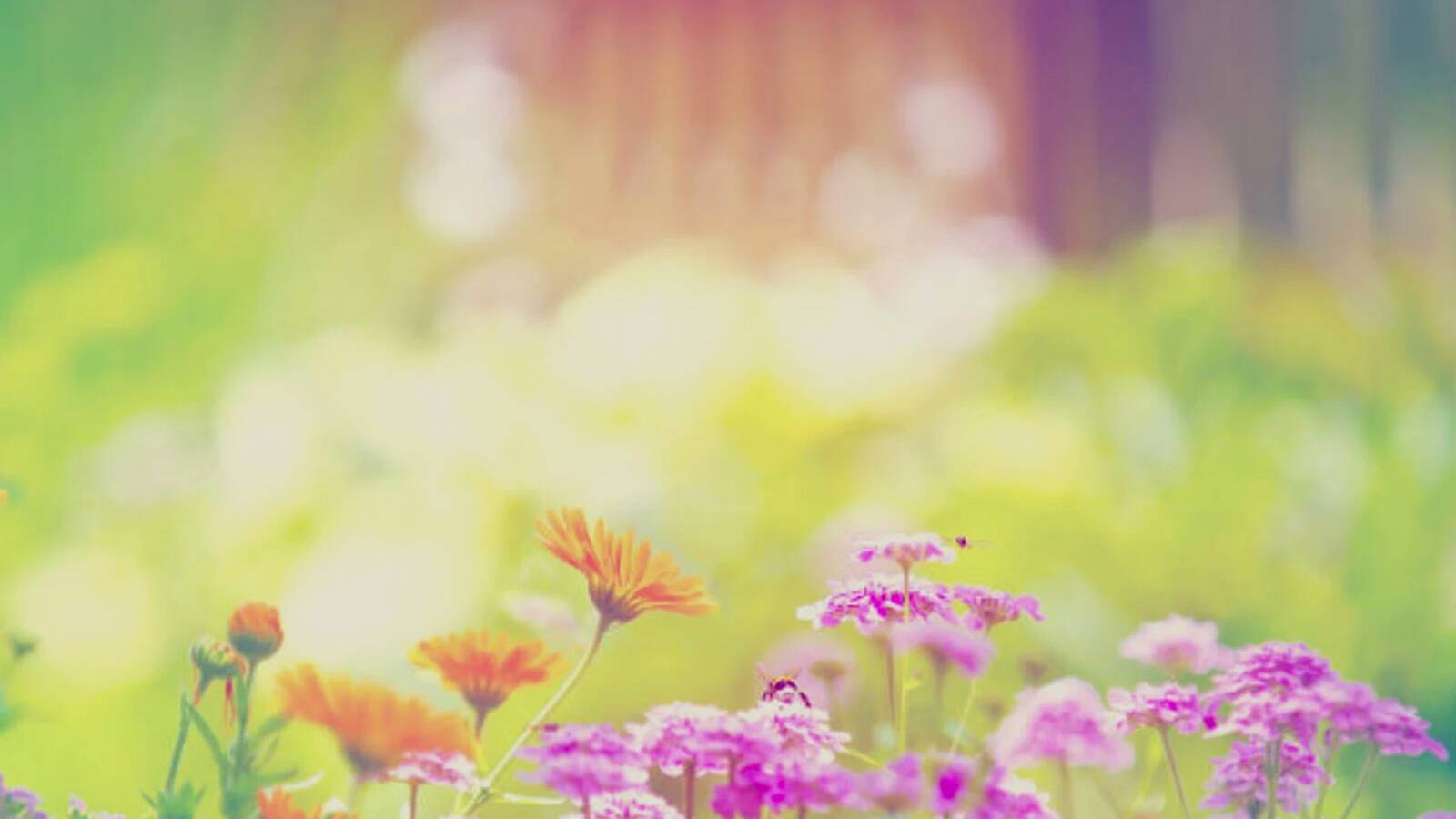 The Binding of Isaac: A New Interpretation | Vayera | Covenant ...