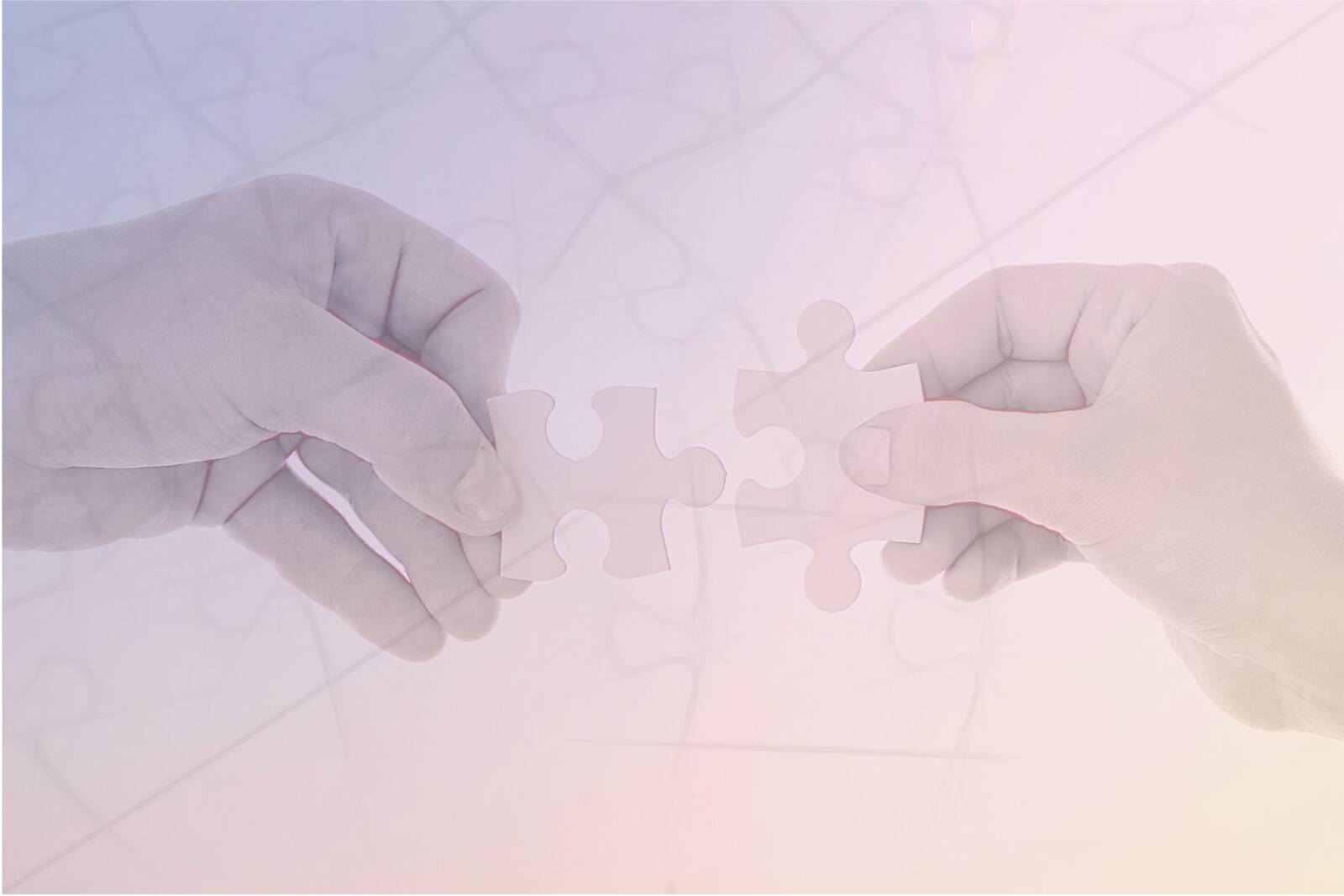 The Three Mysteries of Shavuot | The Rabbi Sacks Legacy