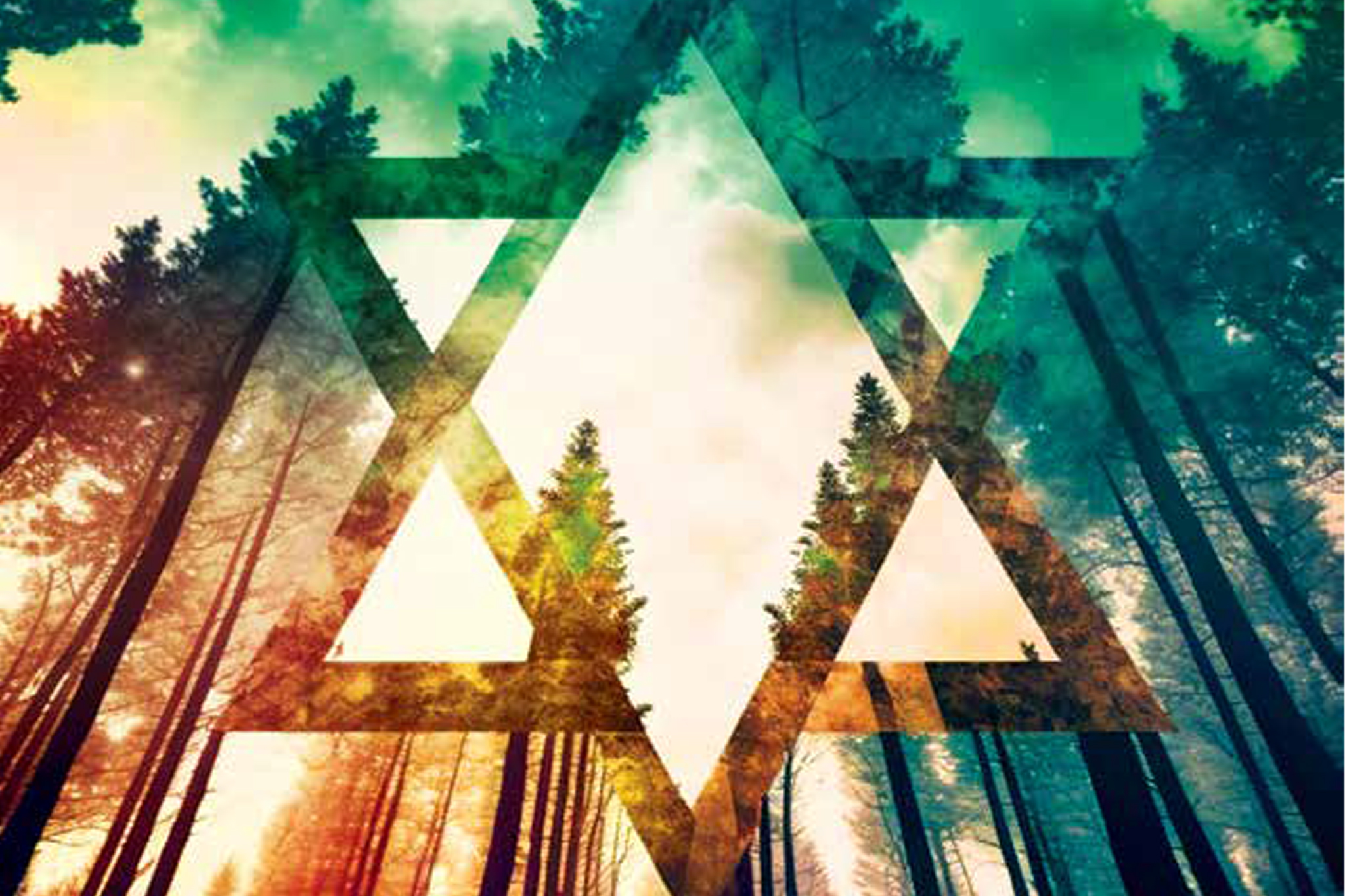 Contextualising the Canon: Arguments for the Sake of Heaven | The Rabbi ...