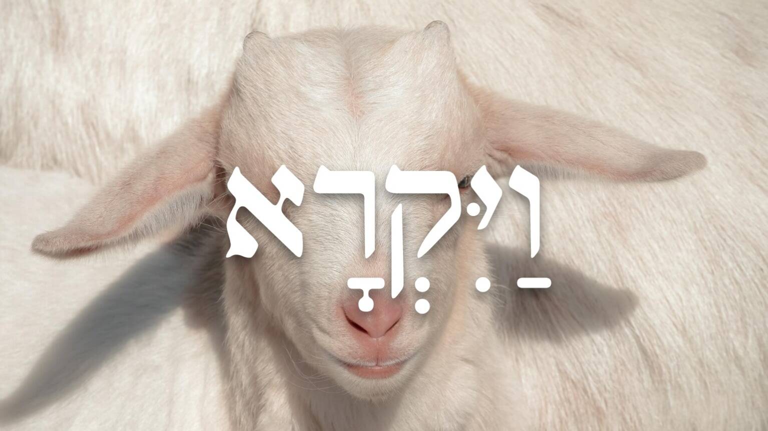 Covenant & Conversation | Weekly Torah Portion Essays by Rabbi Jonathan ...
