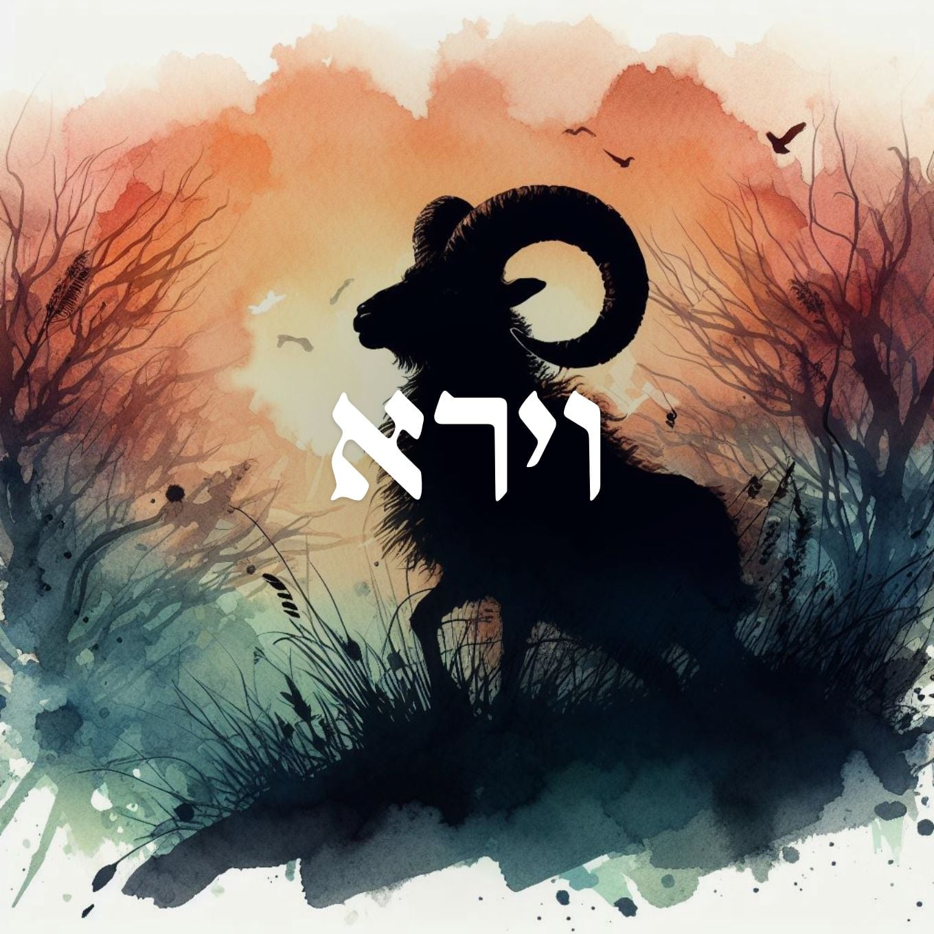 Parshat Vayera | Covenant & Conversation | The Rabbi Sacks Legacy