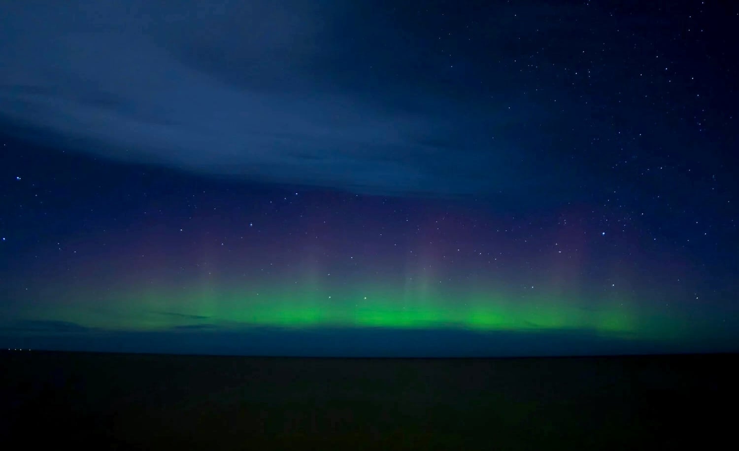 Of Lice and Men | Vaera | Covenant & Conversation | The Rabbi Sacks Legacy