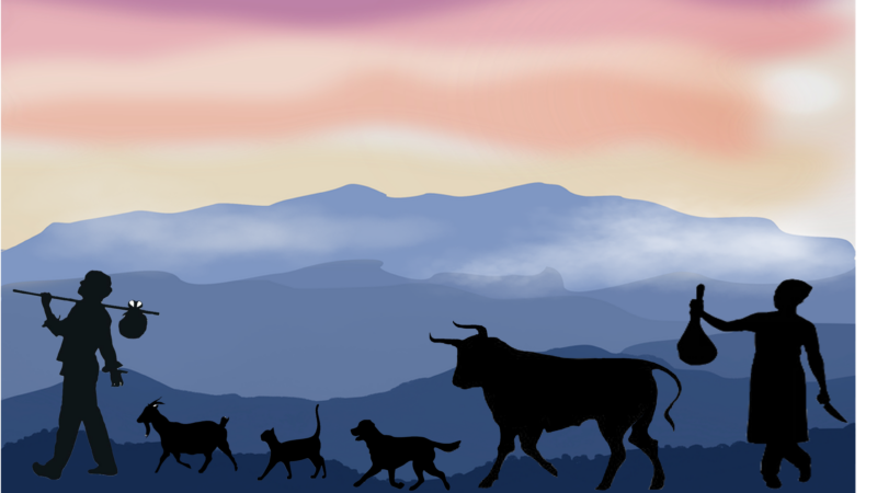 Passover 2027 | The Rabbi Sacks Legacy